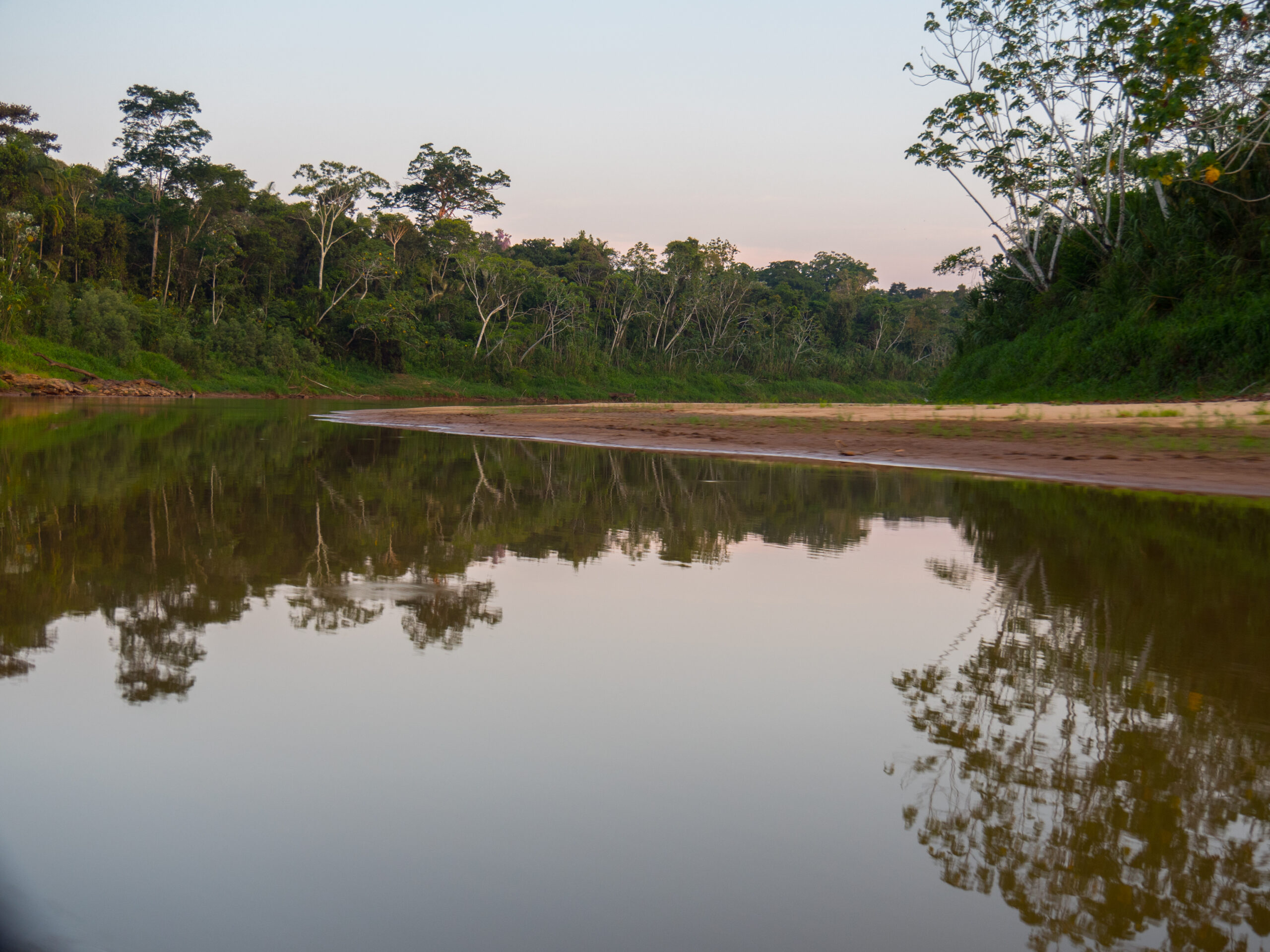 Gold Jewelry or The Amazon Rainforest?